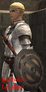 Master Shield :: Items :: Final Fantasy XI :: ZAM