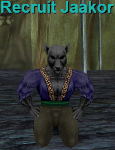 Recruit Jaakor :: Bestiary :: EverQuest :: ZAM