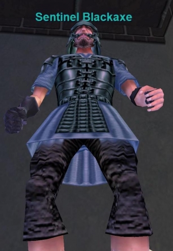 Sentinel Blackaxe :: Bestiary :: EverQuest :: ZAM