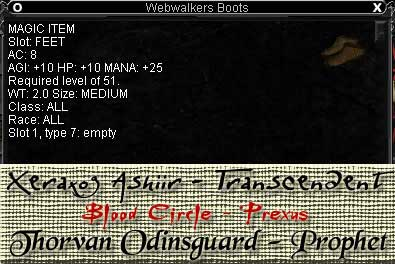 Webwalkers Boots :: Items :: EverQuest :: ZAM