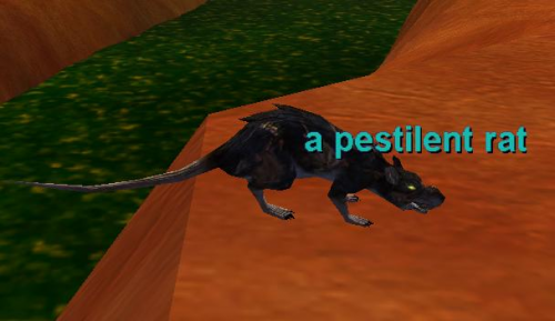 a pestilent rat :: Bestiary :: EverQuest :: ZAM